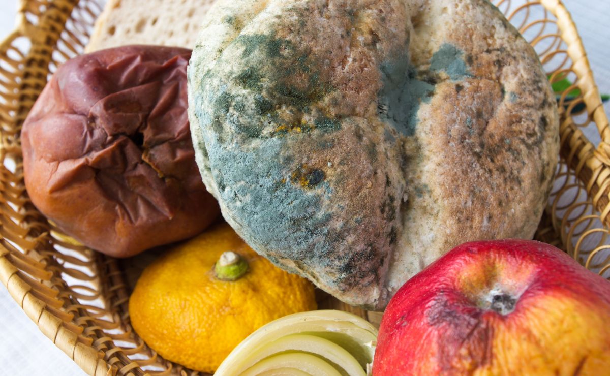 Cuándo se puede descartar la parte con moho de las verduras - Estar Mejor